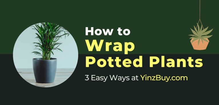 How to Wrap Potted Plants as a Gift (3 Easy Ways) - Yinz Buy